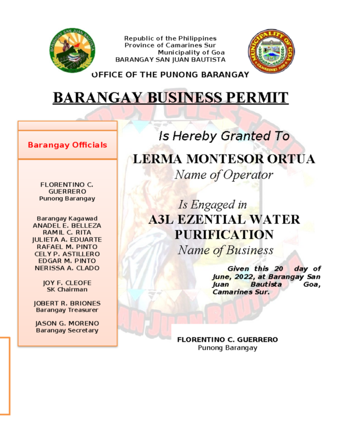 How to Get Barangay Clearance & Mayor’s Permit in the Philippines ...